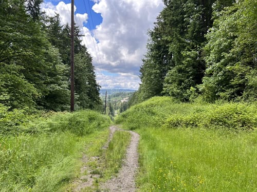 Best Hikes and Trails in Bothell | AllTrails