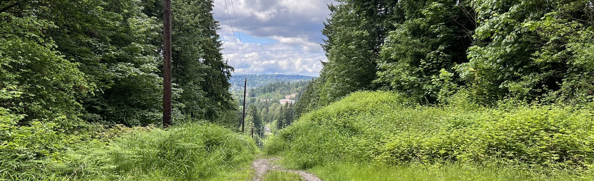 Blyth Park Trail: 115 Reviews, Map - Washington | AllTrails