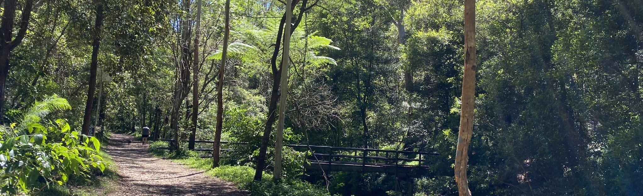 Spears Road Reserve to Stevenson Creek via Murri-Yanna Track: 122 ...
