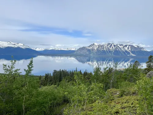 Atlin : les meilleures randonnées avec un lac en 2023 | AllTrails