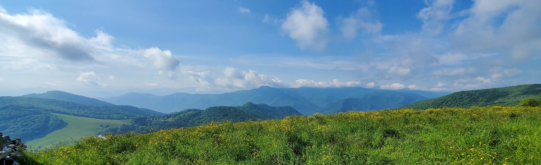 Hemphill Bald via Caldwell Fork Trail, North Carolina - 5 Reviews, Map ...