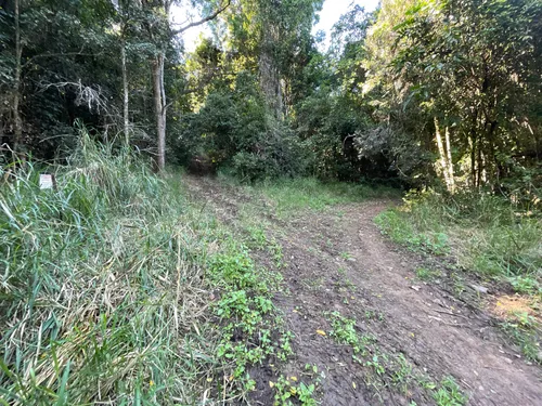 Best Hikes and Trails in Rowallan Park | AllTrails