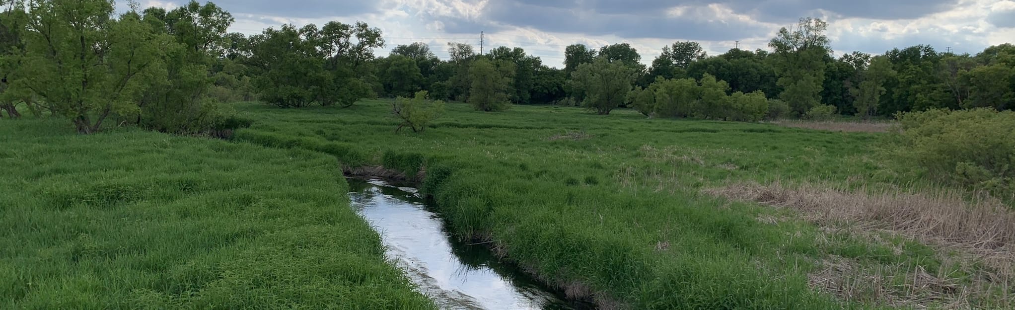 Medicine Lake Regional Trail: Elm Creek to Diamond Lake Road, Minnesota ...