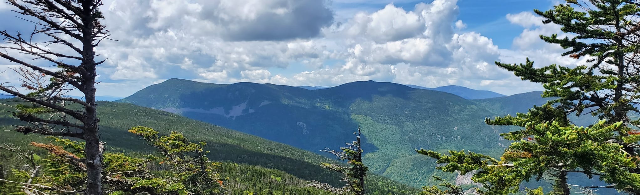 Mount Pierce via Webster Cliff Trail: 26 Reviews, 5,005 Photos, Map ...