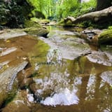 Elwyn John Wildlife Sanctuary, Georgia - 292 Reviews, Map | AllTrails