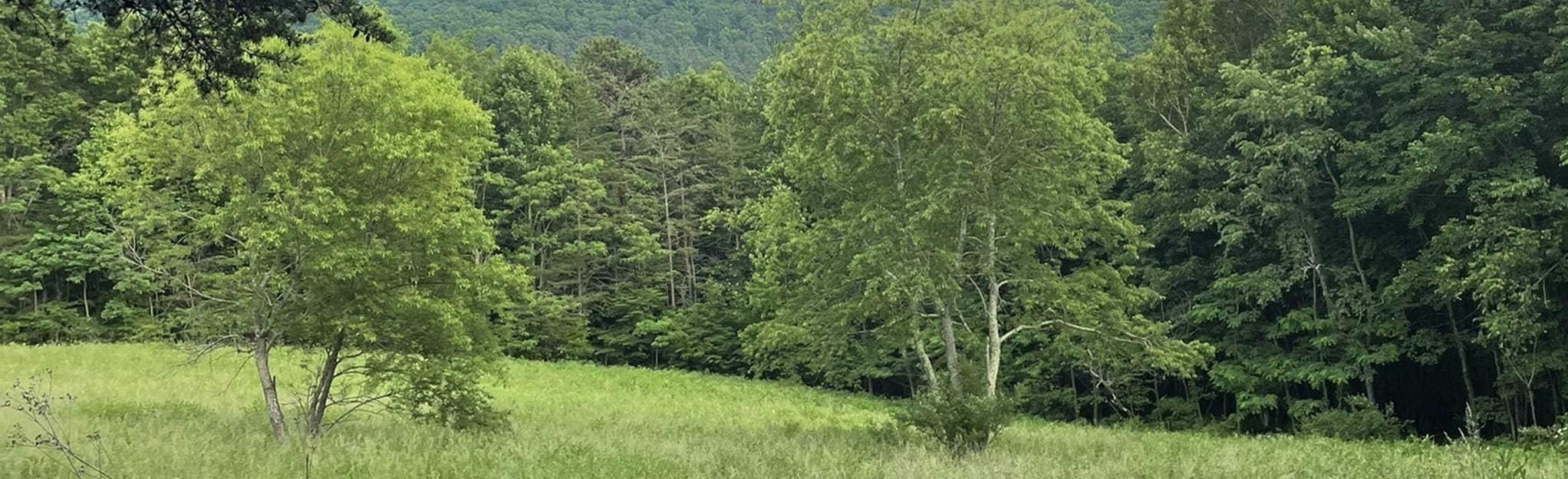 Kerns, Duncan Knob, Middle, Strickler Knob, and Waterfall Mountain ...