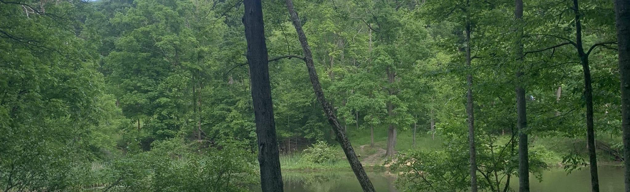 Rachel Carson Trail: North Park to Harrison Hills Park, Pennsylvania ...