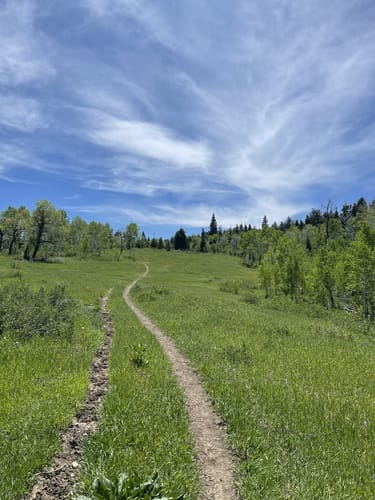 2023 Best 10 Trails and Hikes in Payson | AllTrails