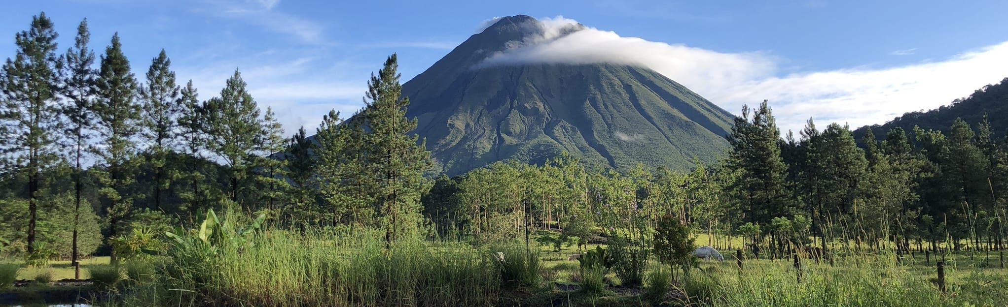 Arenal Observatory Lodge: Red, Green, Blue, Los Cangrejos, Yellow ...