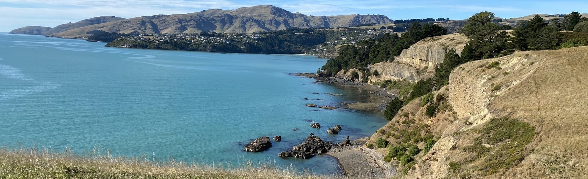 Quail Island Loop Track, Canterbury, New Zealand - 47 Reviews, Map ...
