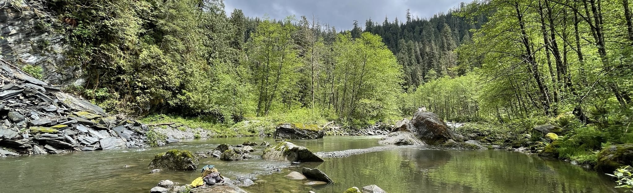 Sultan River Canyon Trail, Washington - 194 Reviews, Map | AllTrails