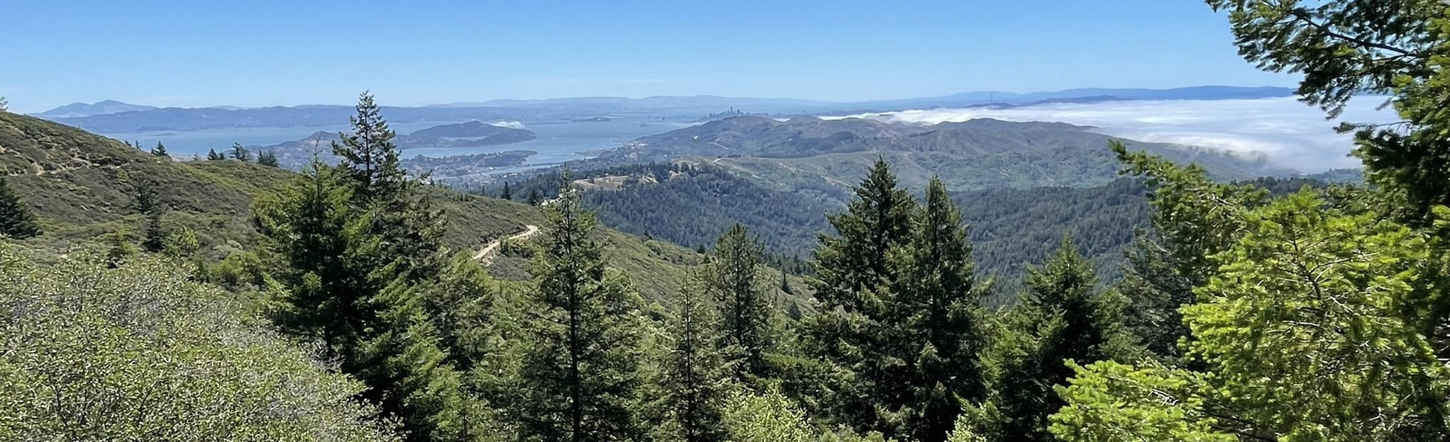 Mount Tamalpais East Peak via Matt Davis to Rock Spring Loop ...