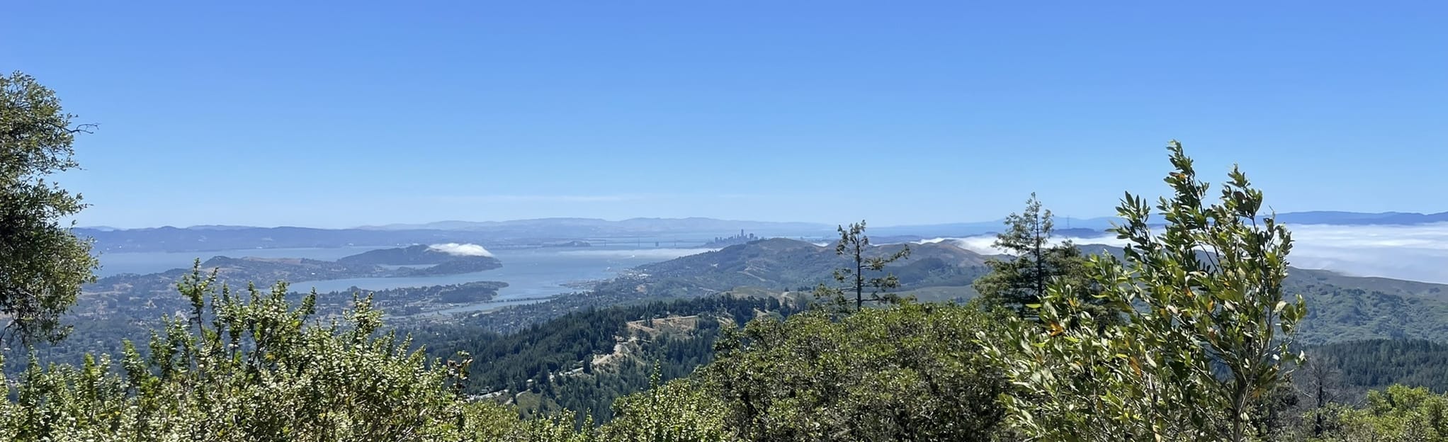 Mount Tamalpais West Point via Rock Spring and Stagecoach | Map, Guide ...