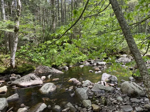 Best Backpacking Trails in Inlet | AllTrails