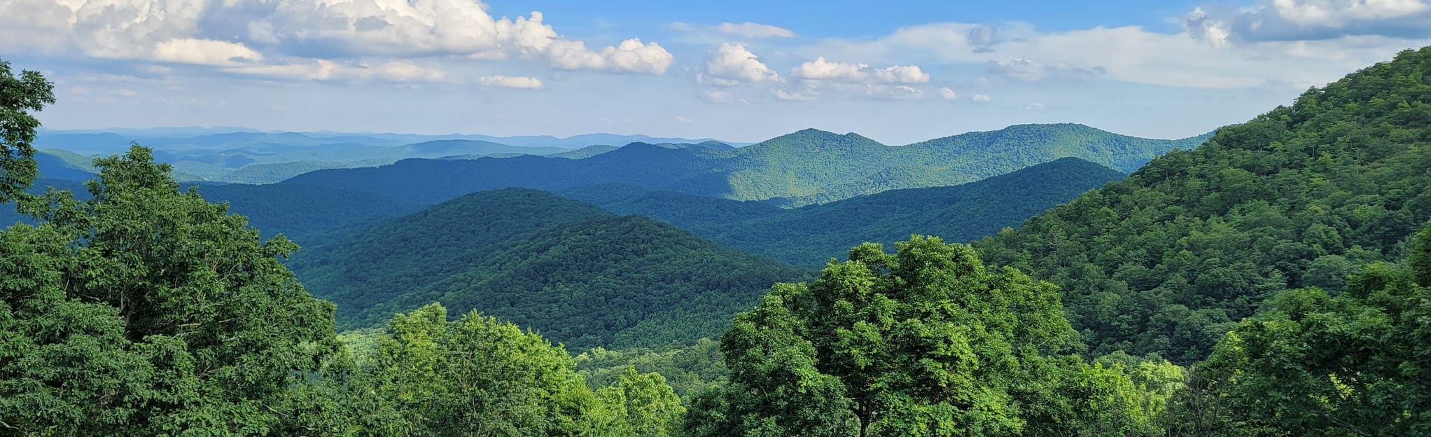 Big Ridge Overlook to Elk Pasture Gap via Shut-In Trail: 268 Reviews ...