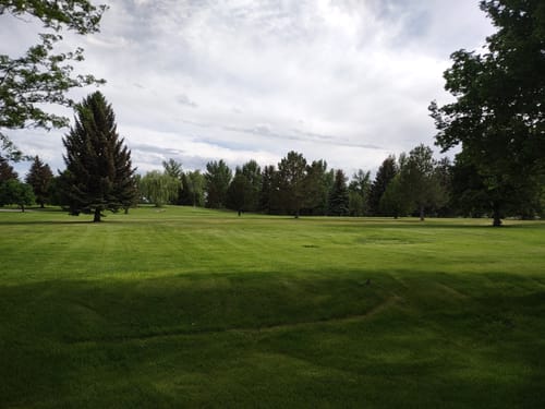 Best Hikes and Trails in Russ Freeman Park | AllTrails