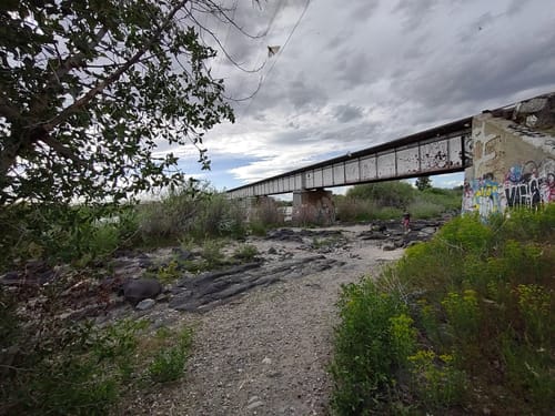 Best Hikes and Trails in Russ Freeman Park | AllTrails