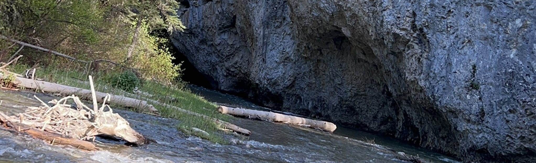 Middle Fork Judith River Trail #437, Montana - 2 Reviews, Map | AllTrails