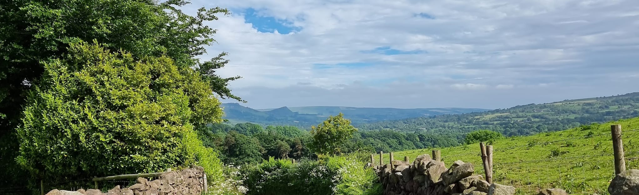 Danebridge Circular, Cheshire, England - 41 Reviews, Map | AllTrails