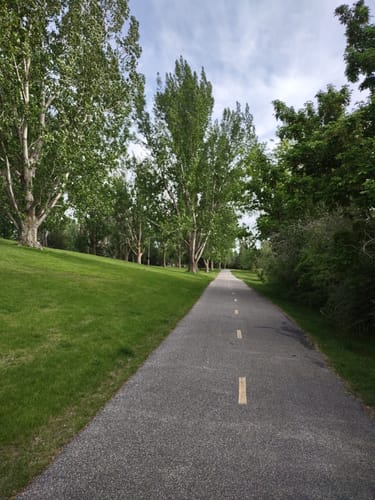 Best Hikes and Trails in Russ Freeman Park | AllTrails