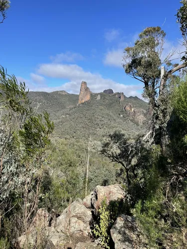 10 Best Walking Trails in Warrumbungle | AllTrails