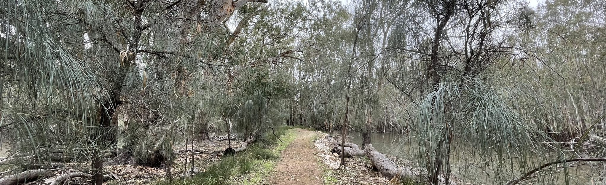 Hattah Lake Brockie and Bugle Ride Walking Track: 11 Reviews, Map ...