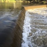 Galatea Point & Dights Falls Loop, Victoria, Australia - 228 Reviews ...