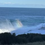 Palm Jungle Loop Track, New South Wales, Australia - 339 Reviews, Map ...