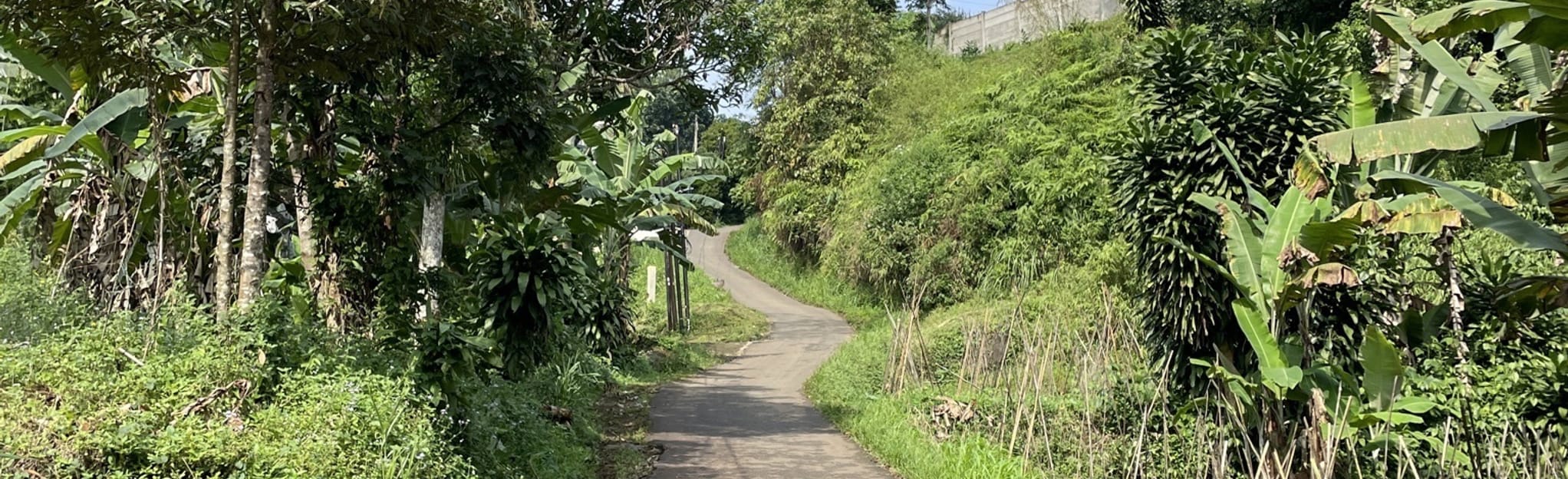 Cisadon via Paseban, West Java, Indonesia - Map, Guide | AllTrails