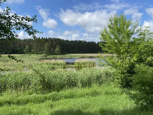 10 Best Trails and Hikes in Lithuania | AllTrails