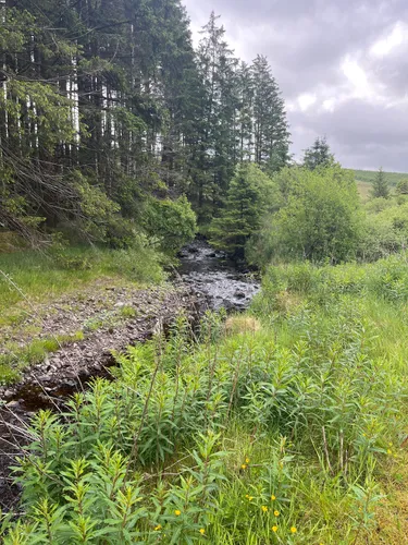 10 Best Hikes and Trails in Sperrins National Landscape (AONB) | AllTrails