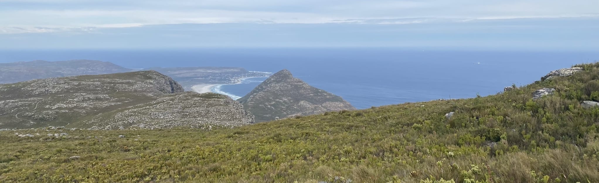 Constantia Nek - Tokai Forest via Constantiaberg: 308 foto - provincia ...