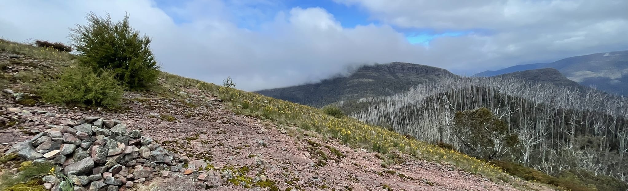Mount Despair and The Viking: 3 Reviews, Map - Victoria, Australia ...