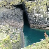 Crawton Waterfall, Aberdeenshire, Scotland - 35 Reviews, Map | AllTrails