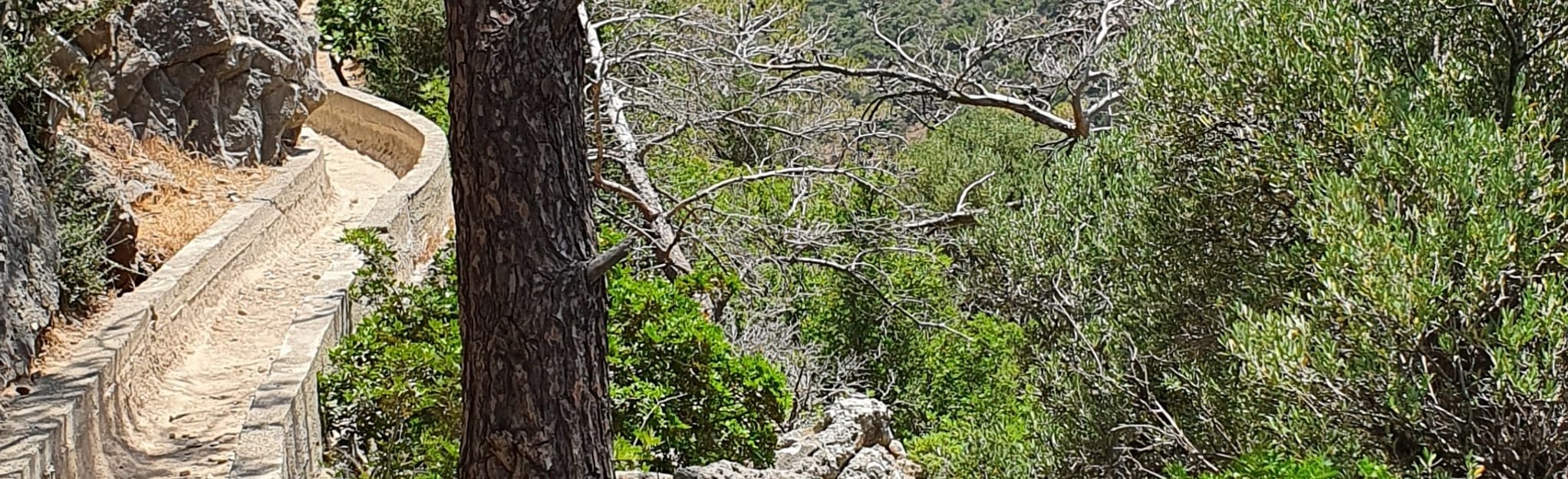 Mylonas Gorge and Waterfall: 83 foto's - Kreta, Griekenland | Wandelen ...