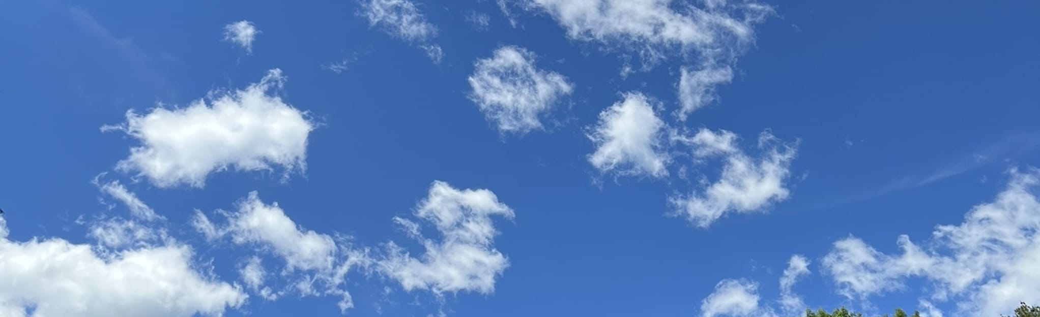 Sheldrick Forest Trail, New Hampshire - 158 Reviews, Map | AllTrails