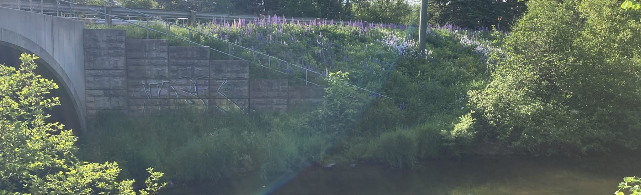 AllTrails | Dunk River Nature Trail: 47 Reviews, Map - Prince Edward ...