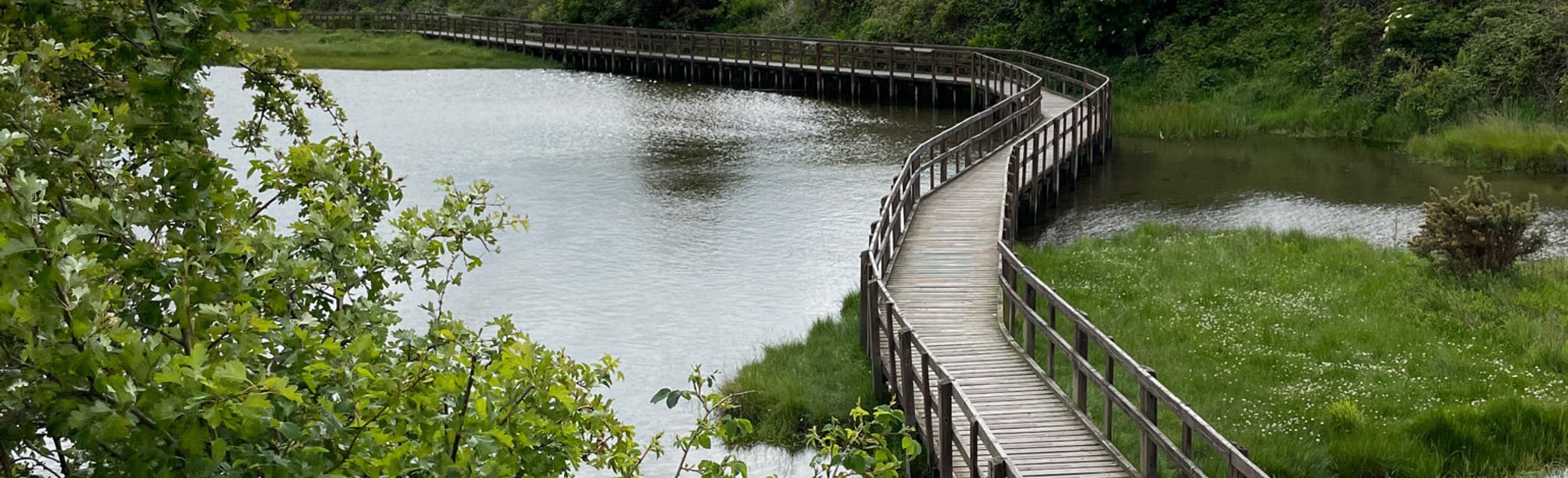 Merkinch Local Nature Reserve and Carnac Point, Highlands, Scotland ...