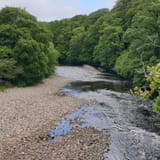 Romaldkirk Circular, County Durham, England - 91 Reviews, Map | AllTrails