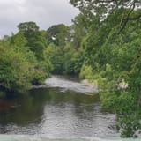 Romaldkirk Circular, County Durham, England - 91 Reviews, Map | AllTrails