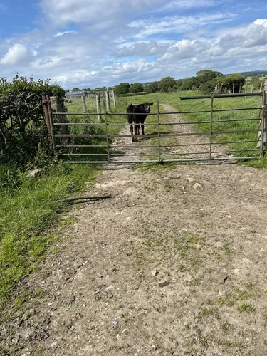 Beste wandelingen en routes in Low Barns Nature Reserve | AllTrails