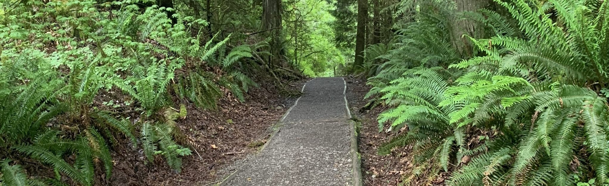 Cave Hole, Fred's Railroad, Quarry, Indian and Red Town Loop: 586 ...