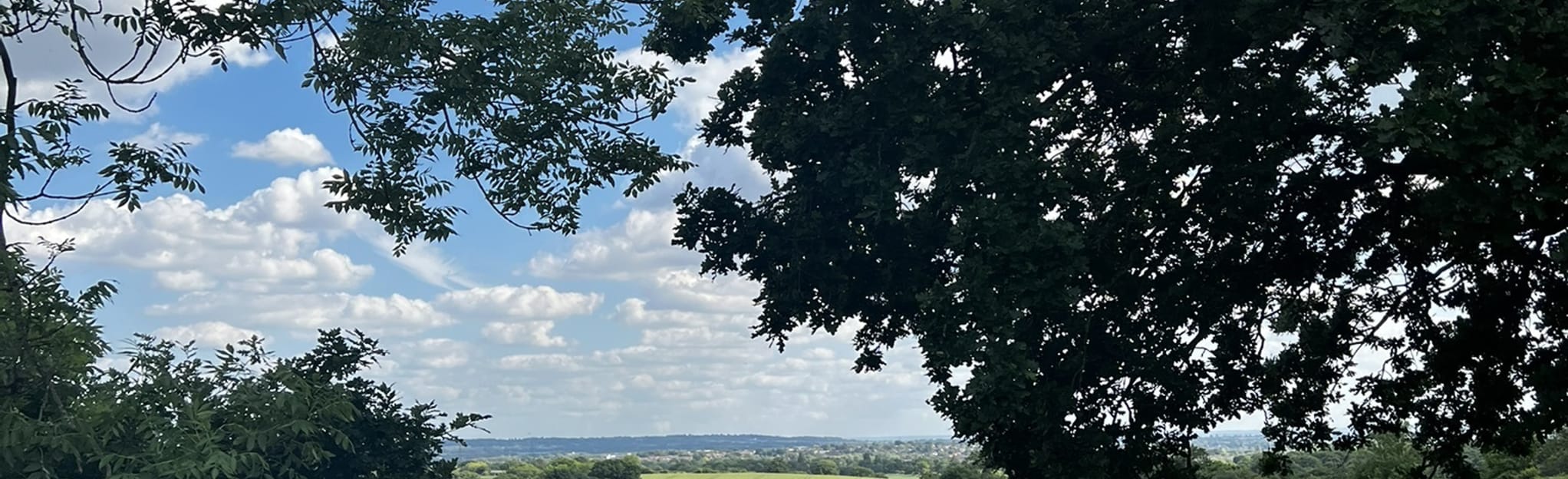 The Old Windmill and South Hanningfield Circular: 108 Reviews, Map ...