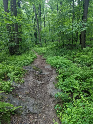 10 Best Hikes and Trails in Rocky Ridge County Park | AllTrails