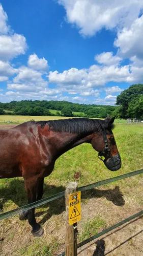 Best Hikes and Trails in Moat Mount Open Space | AllTrails