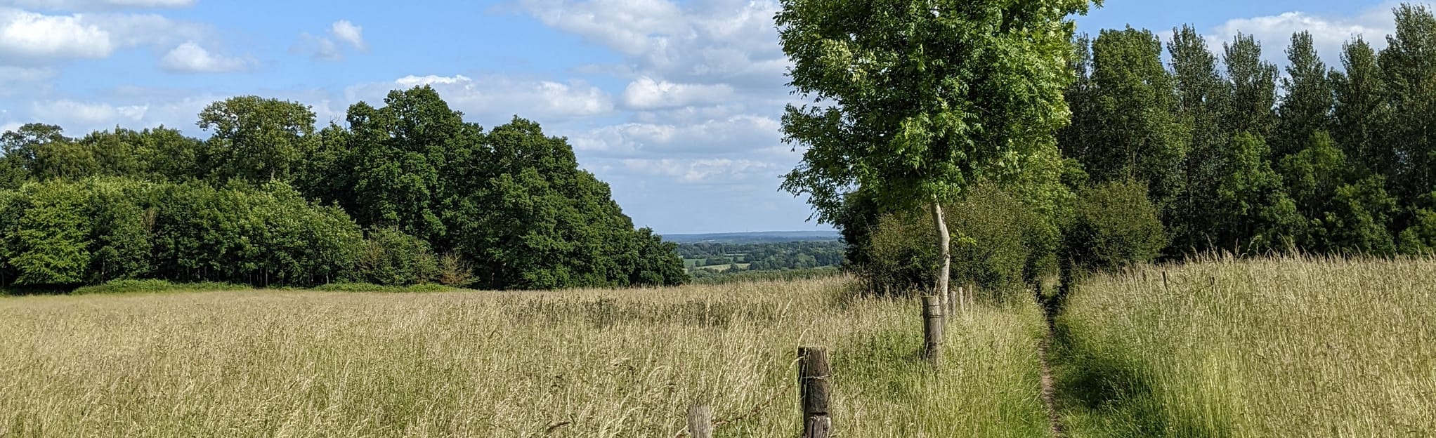 Loddon Brewery and Chilterns Boundary Walk: 152 Reviews, Map ...