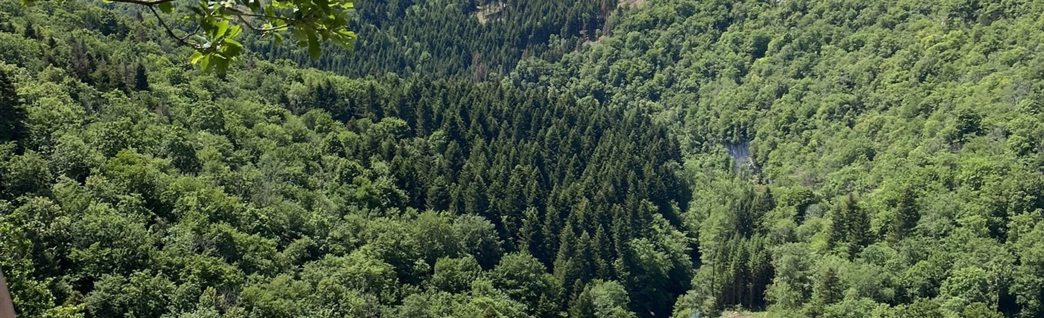 The Gorges du Lison: 23 foto's - Doubs, Frankrijk | Wandelen - AllTrails