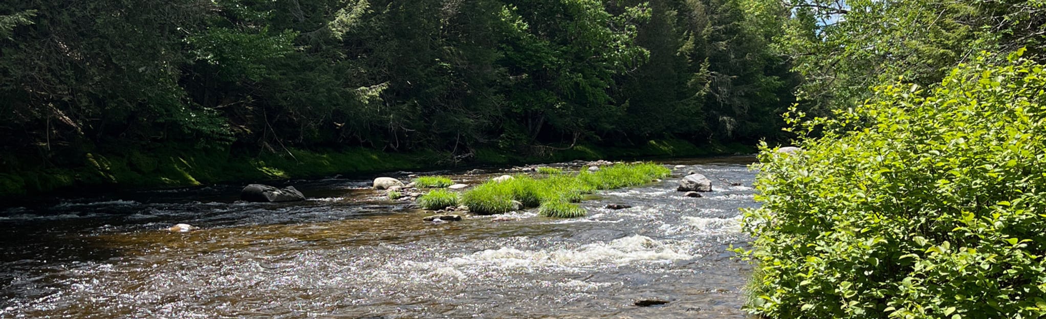 Tay River Falls - New Brunswick, Canada | AllTrails
