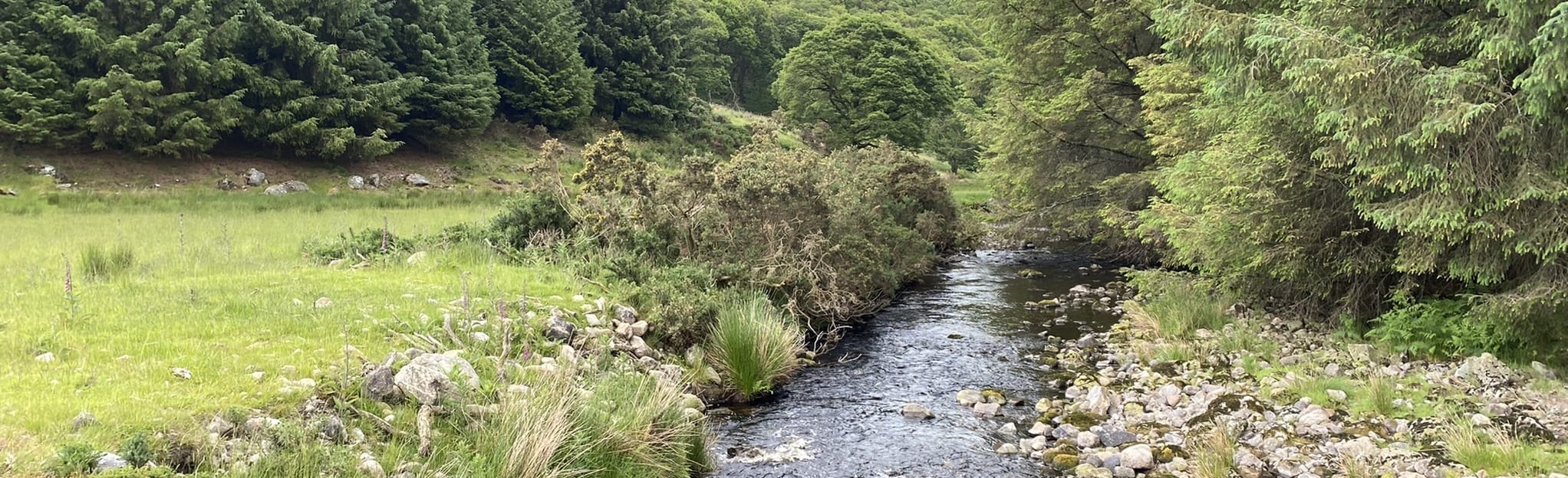 Ballinastoe Wood to Luggala, County Wicklow, Ireland - 164 Reviews, Map ...