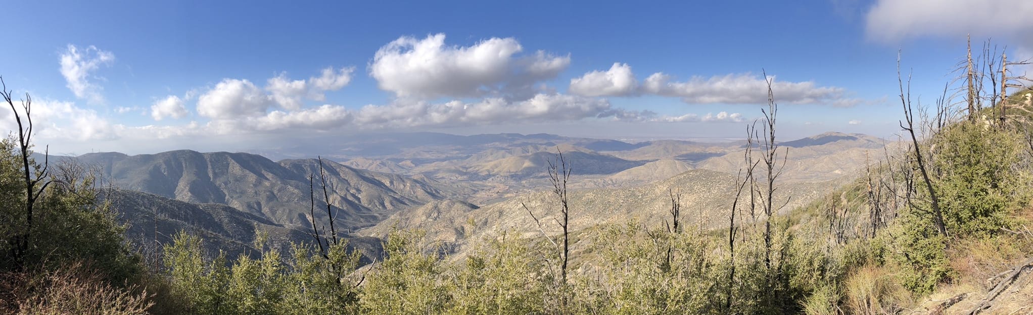 Mount Gleason Trail, California - 103 Reviews, Map | AllTrails